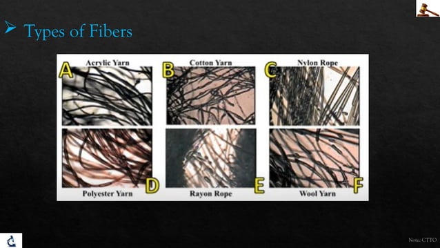 Handling and Preservation of Biological Evidence -hair and fiber.pptx ...