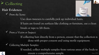 Handling and Preservation of Biological Evidence -hair and fiber.pptx ...