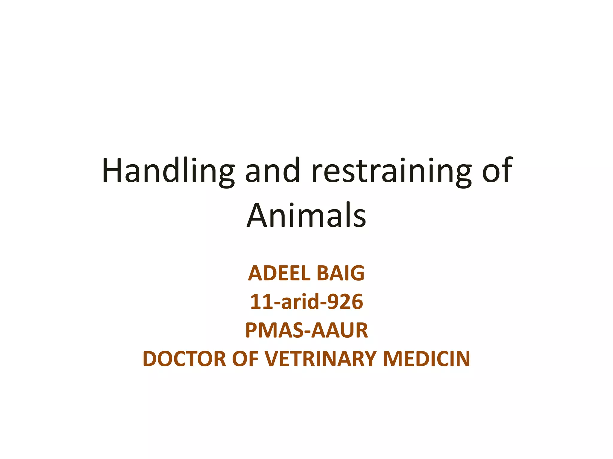 handling of animals | PPTX