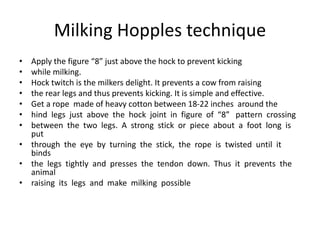 handling of animals | PPTX