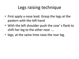 handling of animals | PPTX