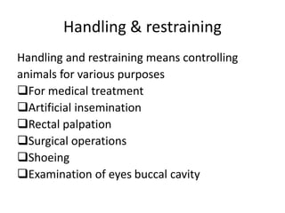 handling of animals | PPTX
