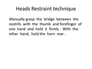 handling of animals | PPTX