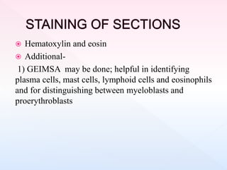 processing of bone marrow trephine biopsy | PPTX