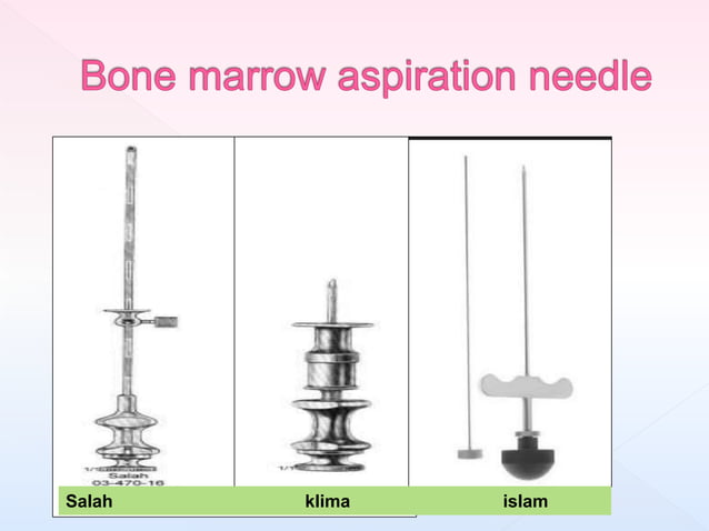 processing of bone marrow trephine biopsy | PPTX