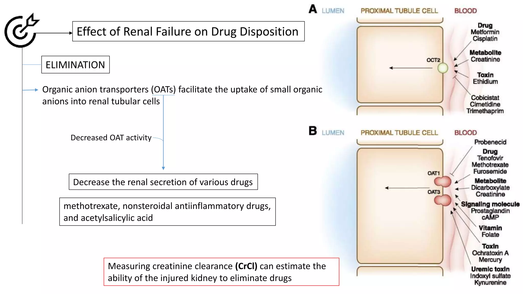 Handling of drugs in Renal Failure (kinetics and dynamics) | PPTX