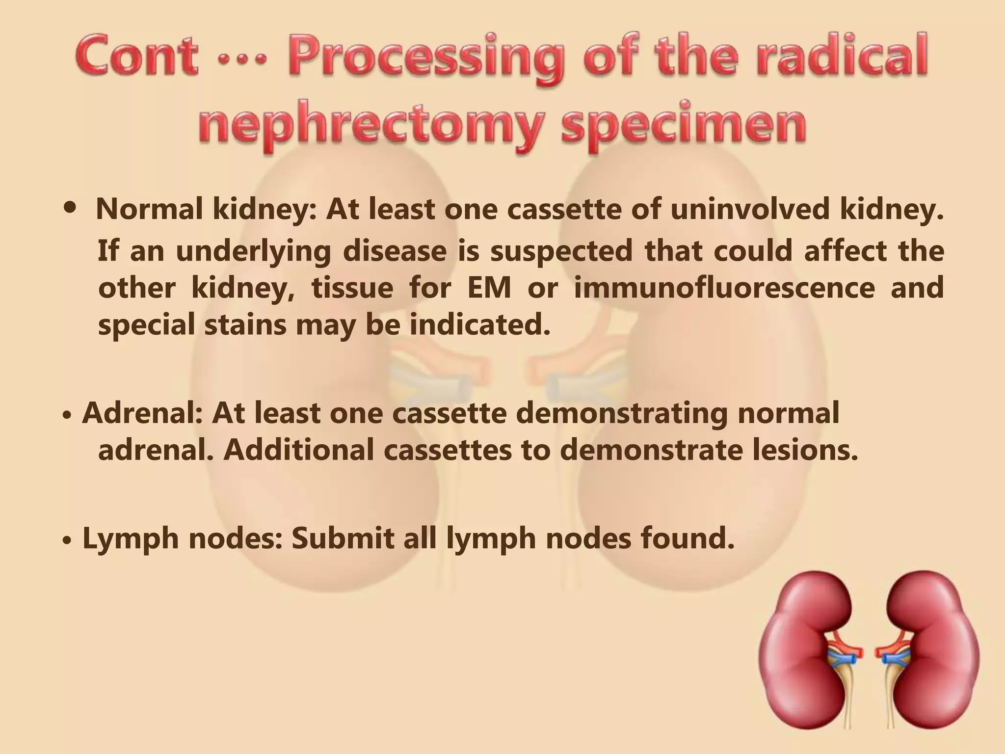 Handling of kidney specimen | PPTX