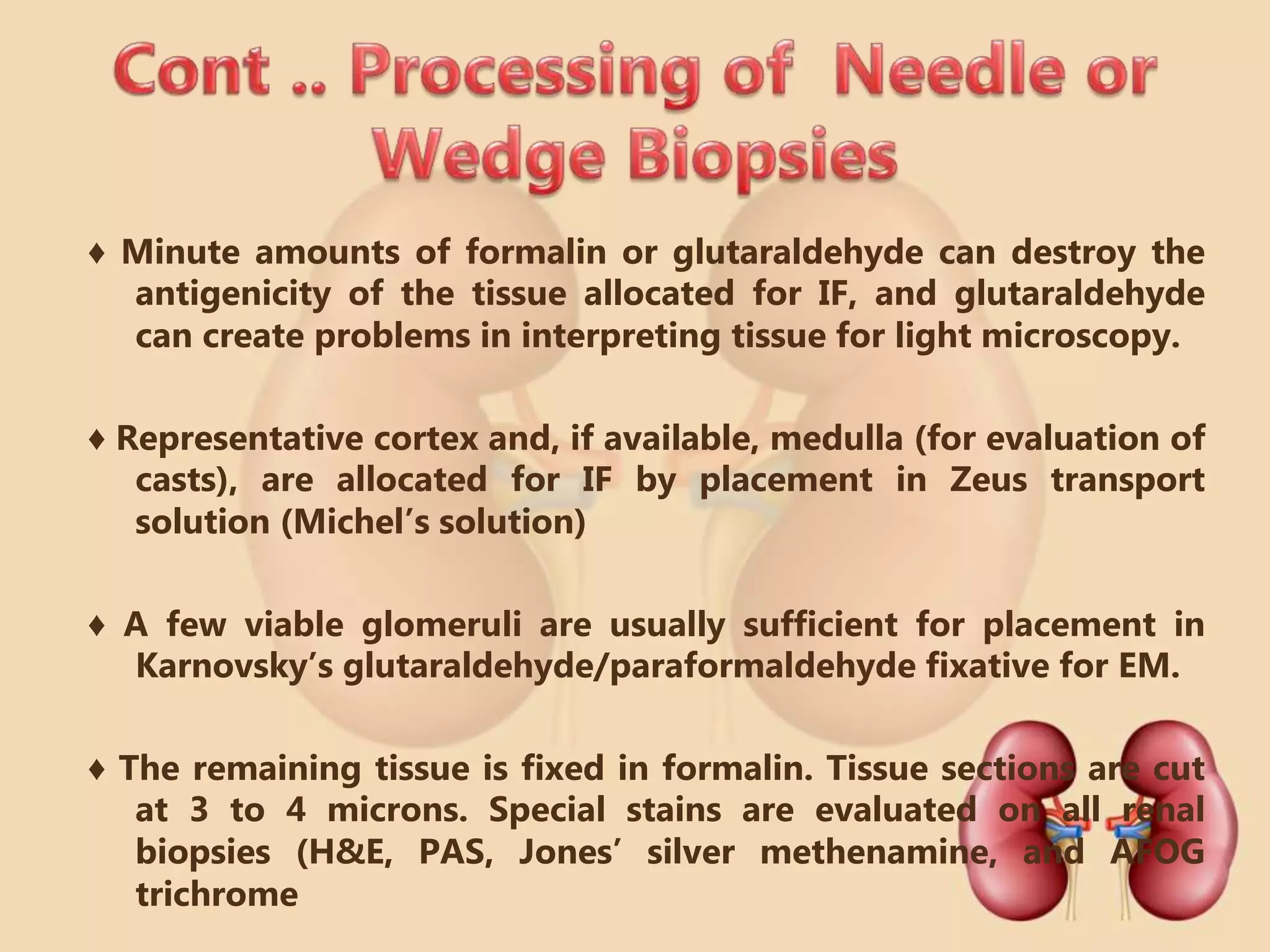 Handling of kidney specimen | PPTX