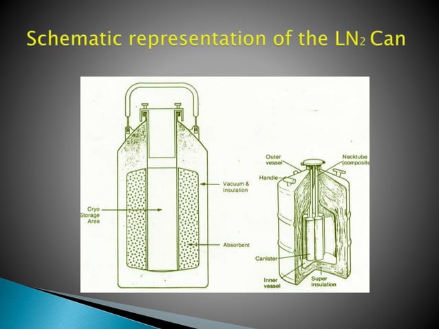Handling of LN2.pptx