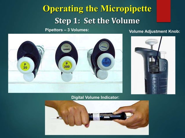 Handling of pipette ,buret,separatory funnnel, graduated cylinder | PPT ...
