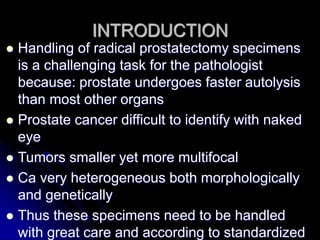 Handling of radical prostatectomy specimens | PPT