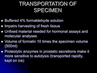 Handling of radical prostatectomy specimens | PPT