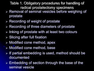 Radical Prostatectomy Specimen