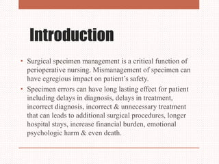 HANDLING OF SPECIMEN-iman.pptx