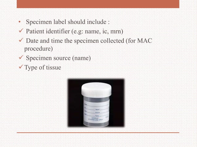 HANDLING OF SPECIMEN-iman.pptx