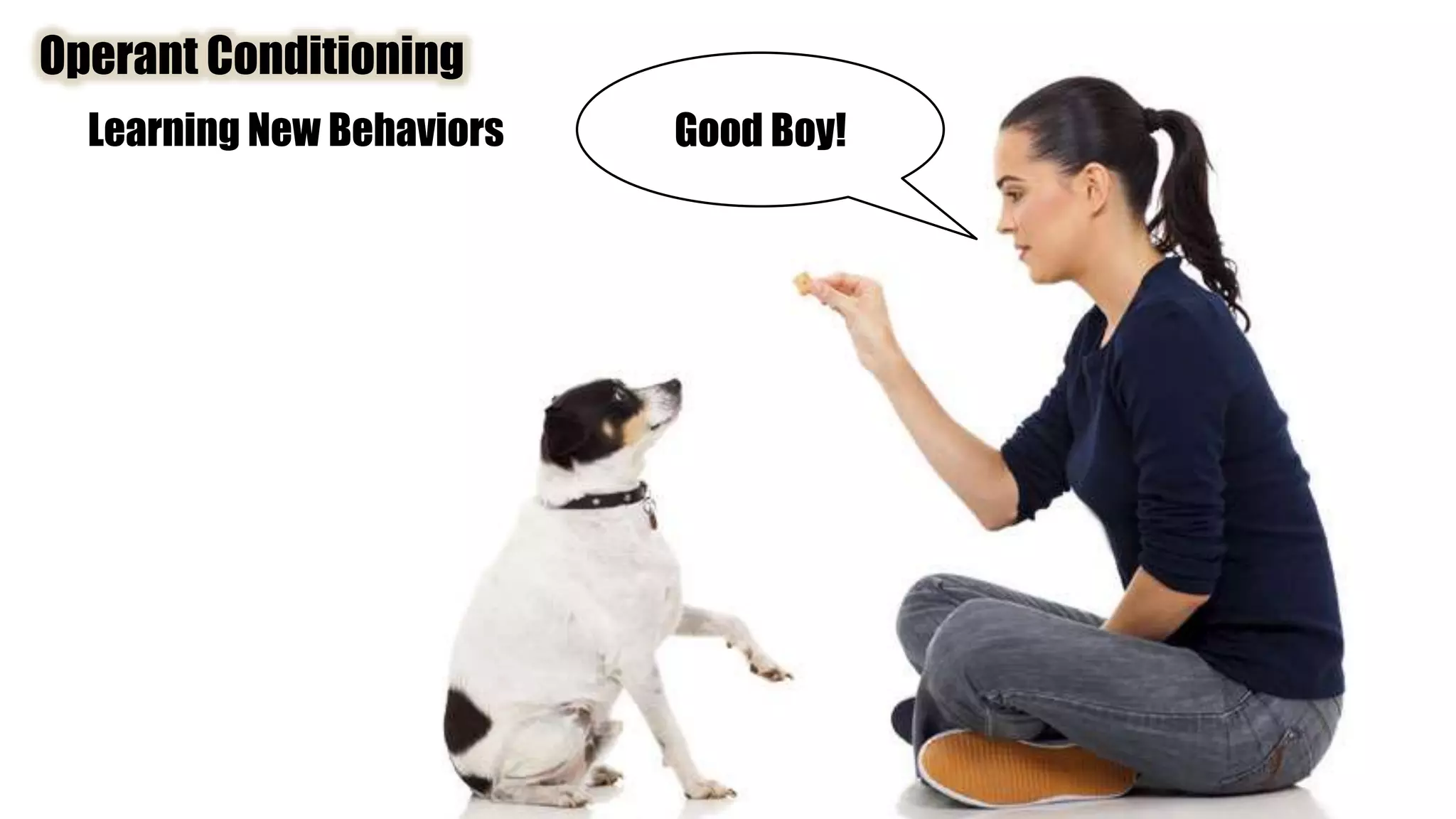 Handling problematic employees | PPTX