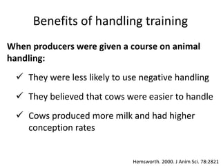 The Importance of Good Handling Skills for Dairy Cows | PPTX