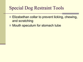 Handling_Restraining_Dogs_Cats.pdf