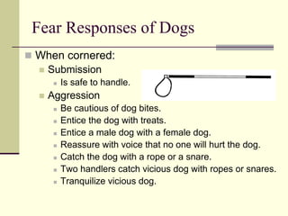Handling_Restraining_Dogs_Cats.pdf