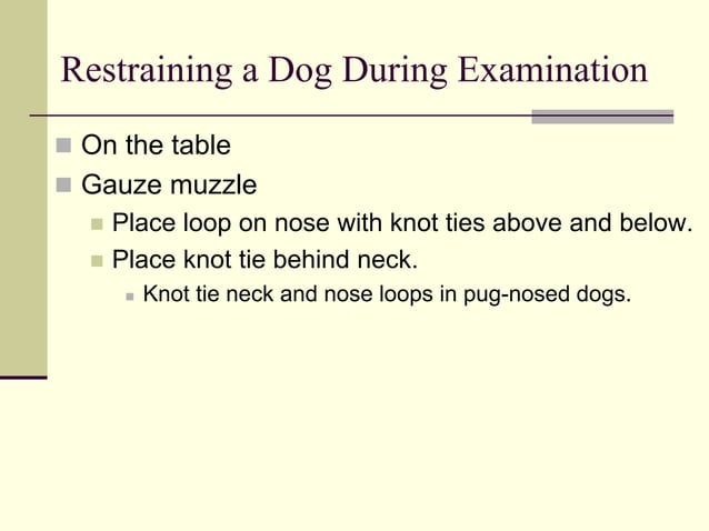 Handling_Restraining_Dogs_Cats.pdf