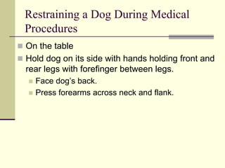 Handling_Restraining_Dogs_Cats.pdf