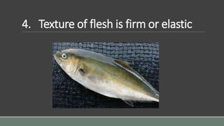 HANDLING SEAFOD DISHES.pptx