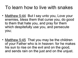 Handling snakes | PPT