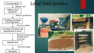 Handling the Feed Challenges of Fish Farmers in Nigeria | PPTX