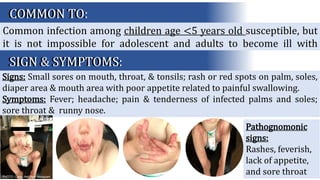 Hand Mouth Foot Disease.pptx