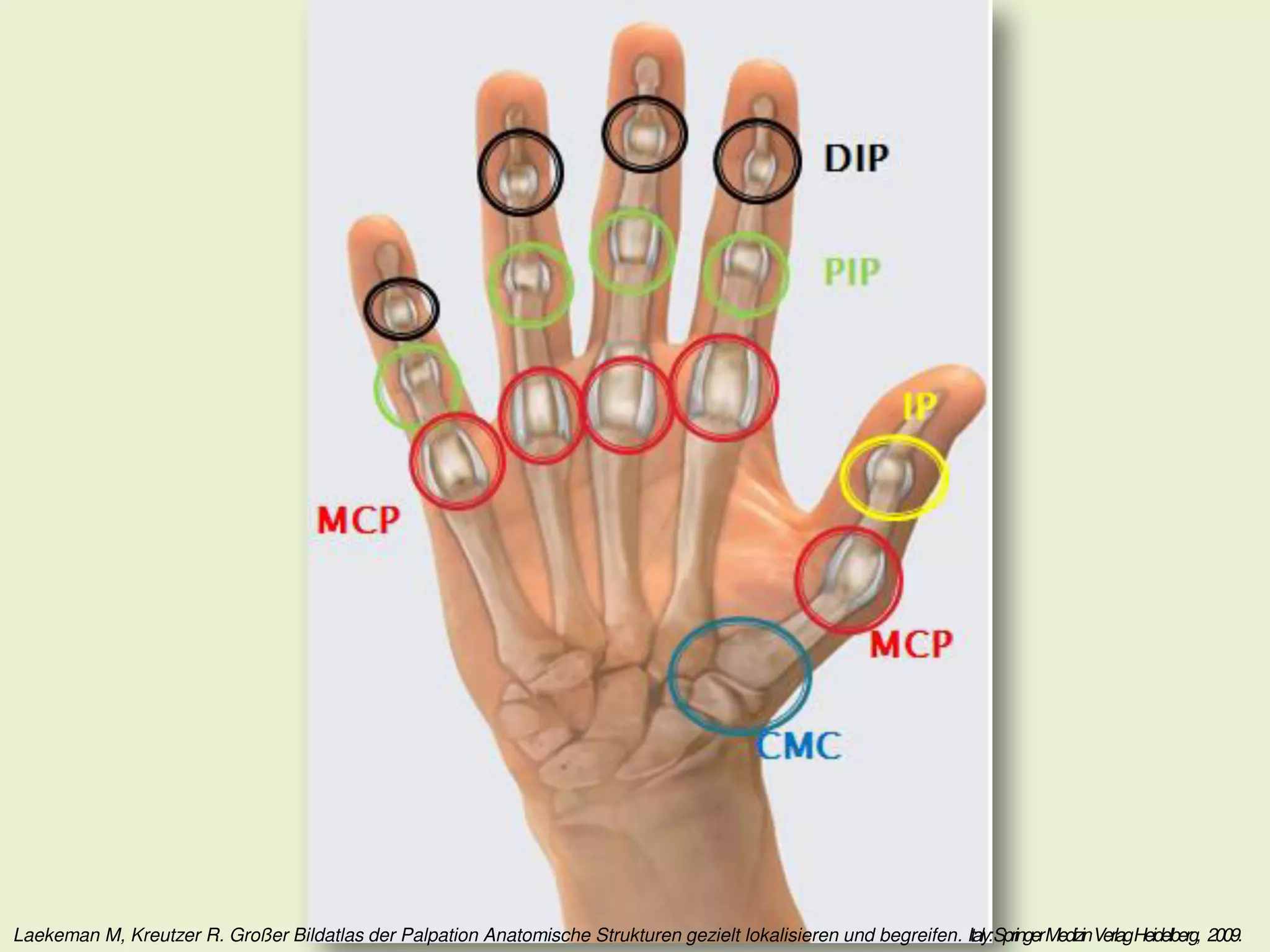 Manuelni misicni test - Misici sake - Hand muscle testing | PPT