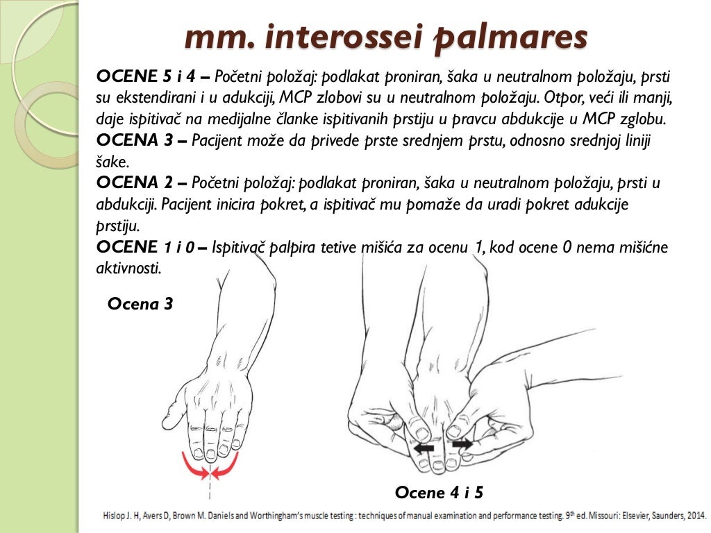 Manuelni misicni test - Misici sake - Hand muscle testing