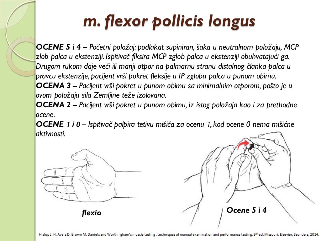 Manuelni misicni test - Misici sake - Hand muscle testing