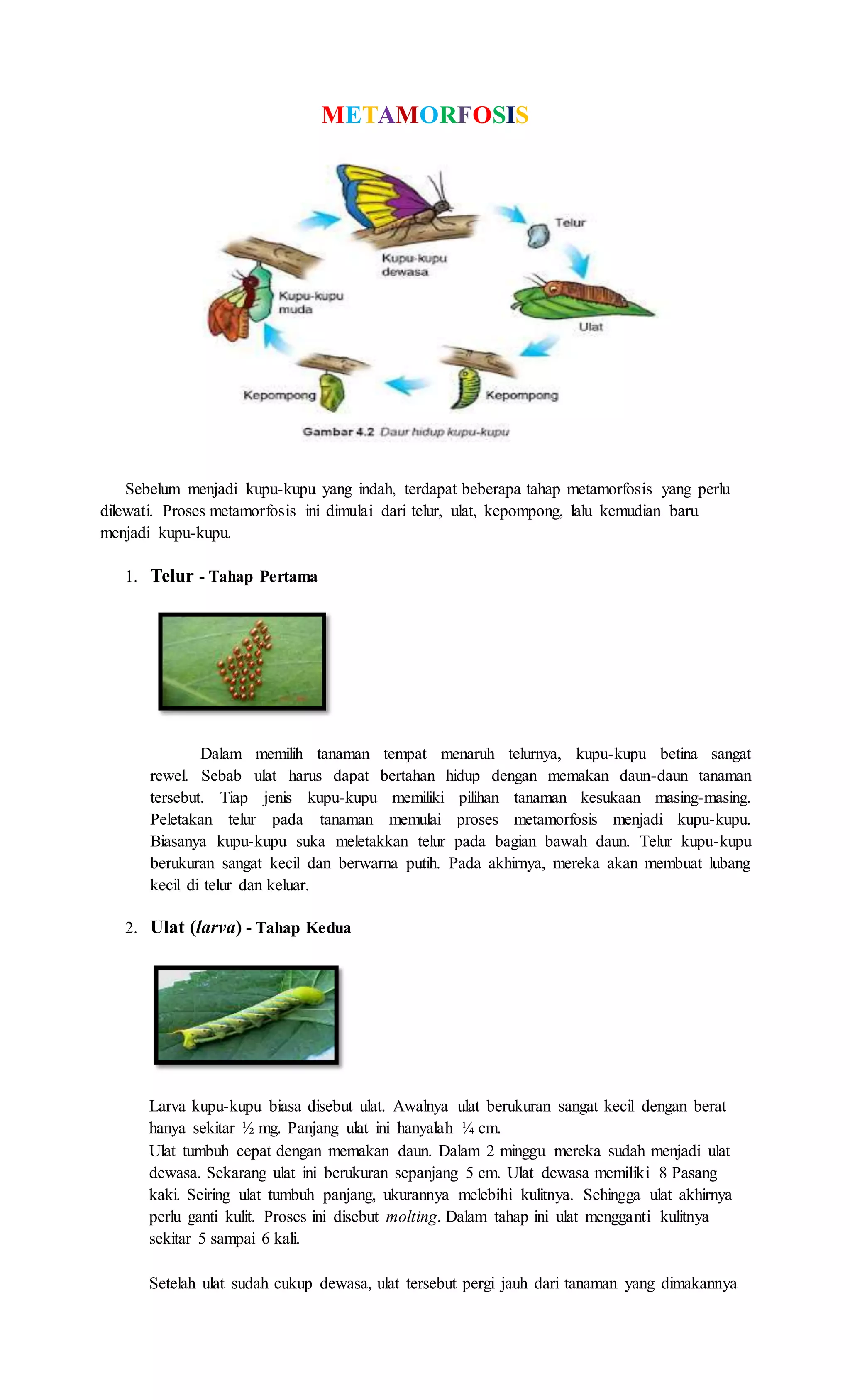 CONTOH Handout | DOCX