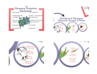 Science Safety, PREZI Handout | PPT