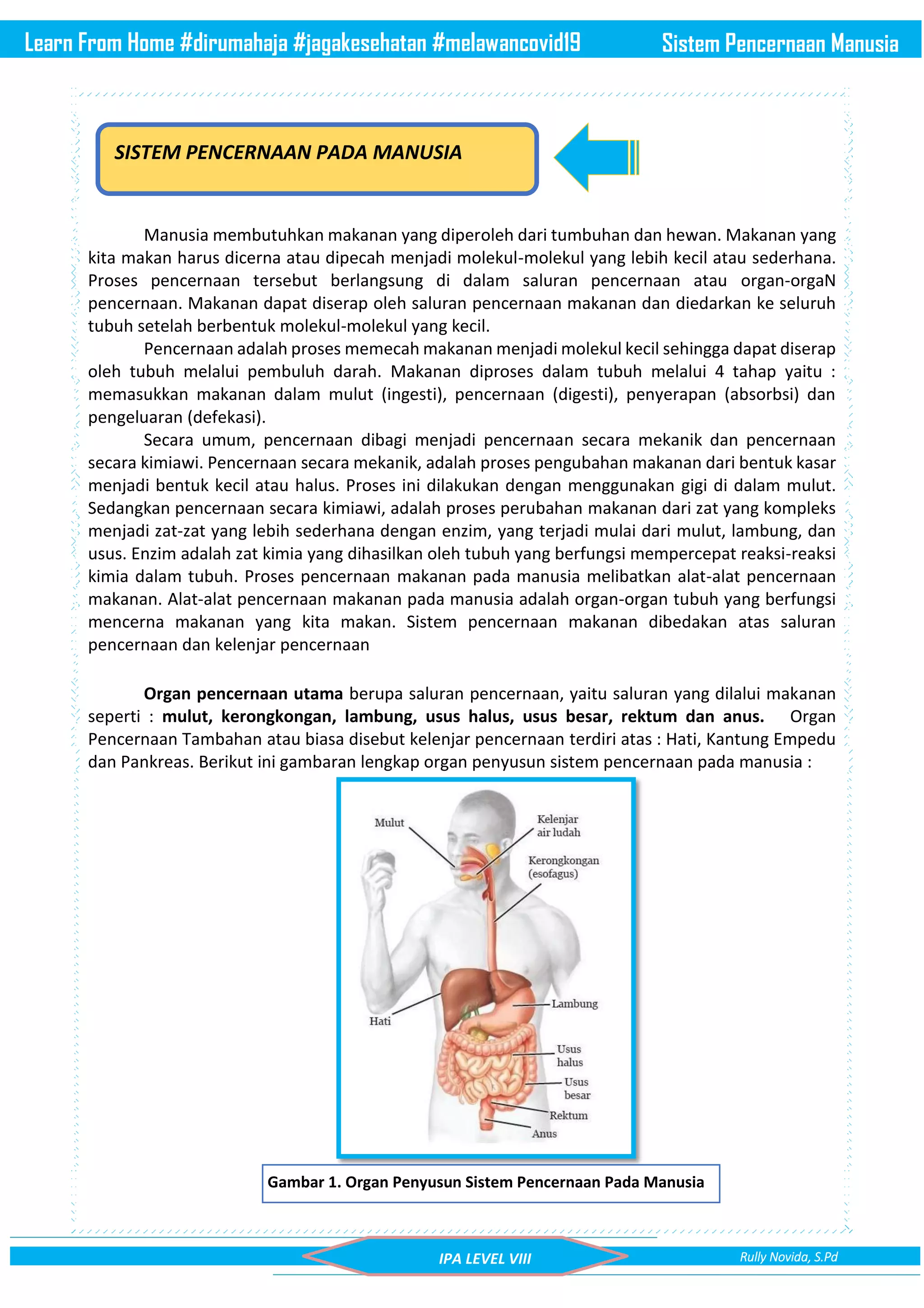 Bahan Ajar Sistem Pencernaan Pada Manusia (Organ Penyusun beserta Enzim ...