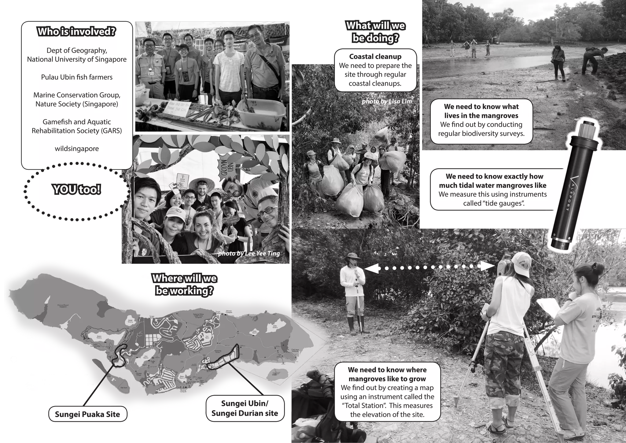 Restore Ubin Mangroves (R.U.M.) Initiative pamphlet (English) | PDF