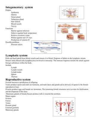 Introduction to the human body | PDF