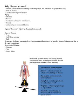 Introduction to the human body | PDF