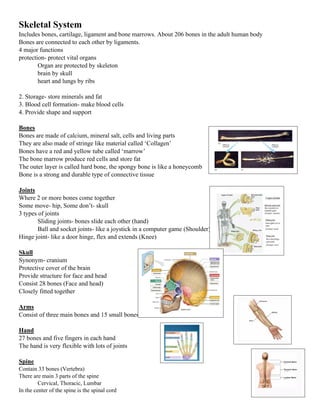 Introduction to the human body | PDF