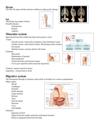 Introduction to the human body | PDF