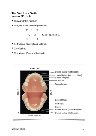 Handout, Lecture 1.pdf