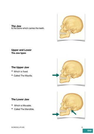 Handout, Lecture 1.pdf