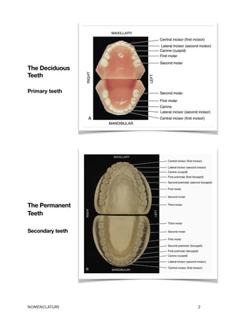 Handout, Lecture 1.pdf