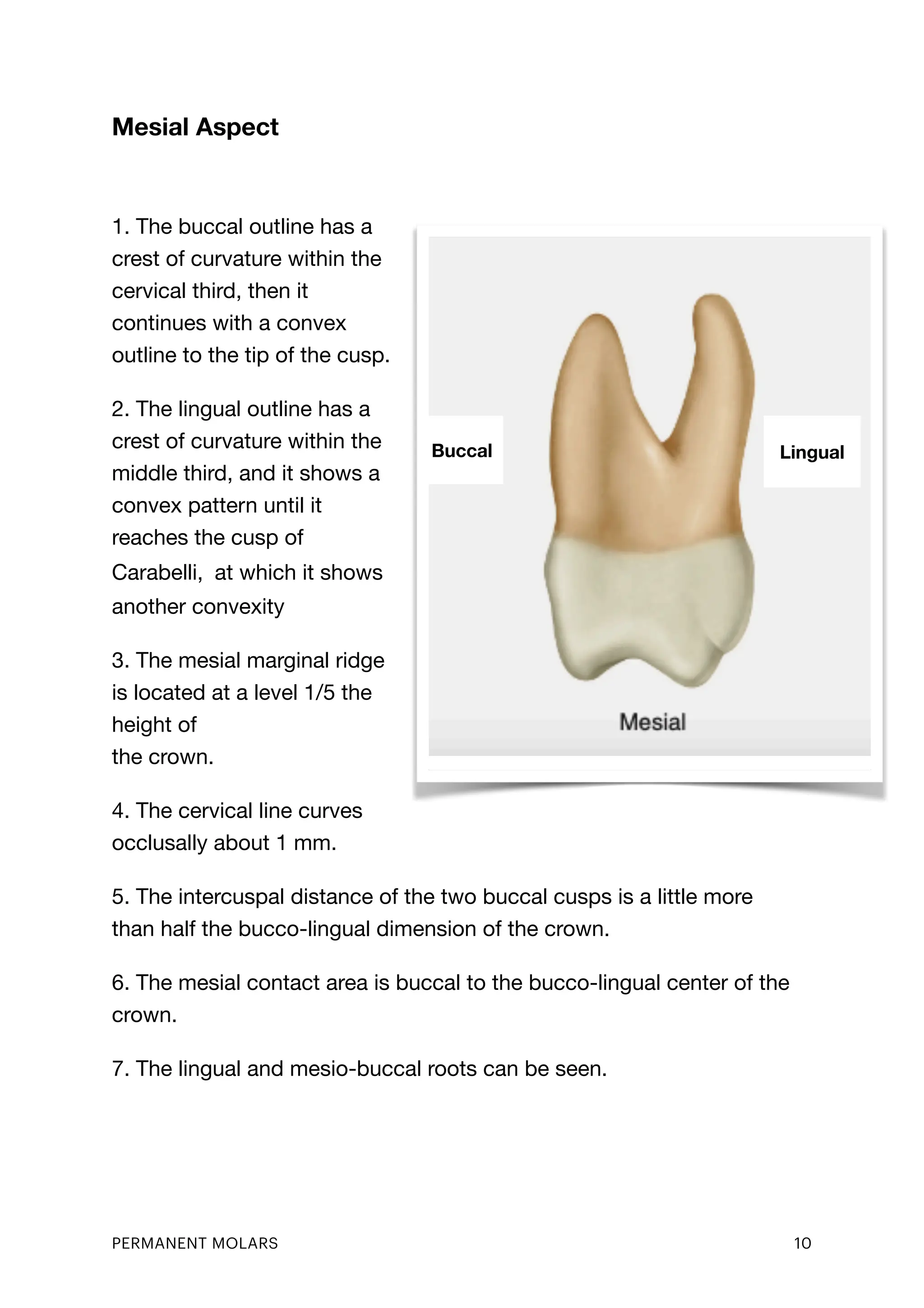 Handout, Lecture 11.pdf