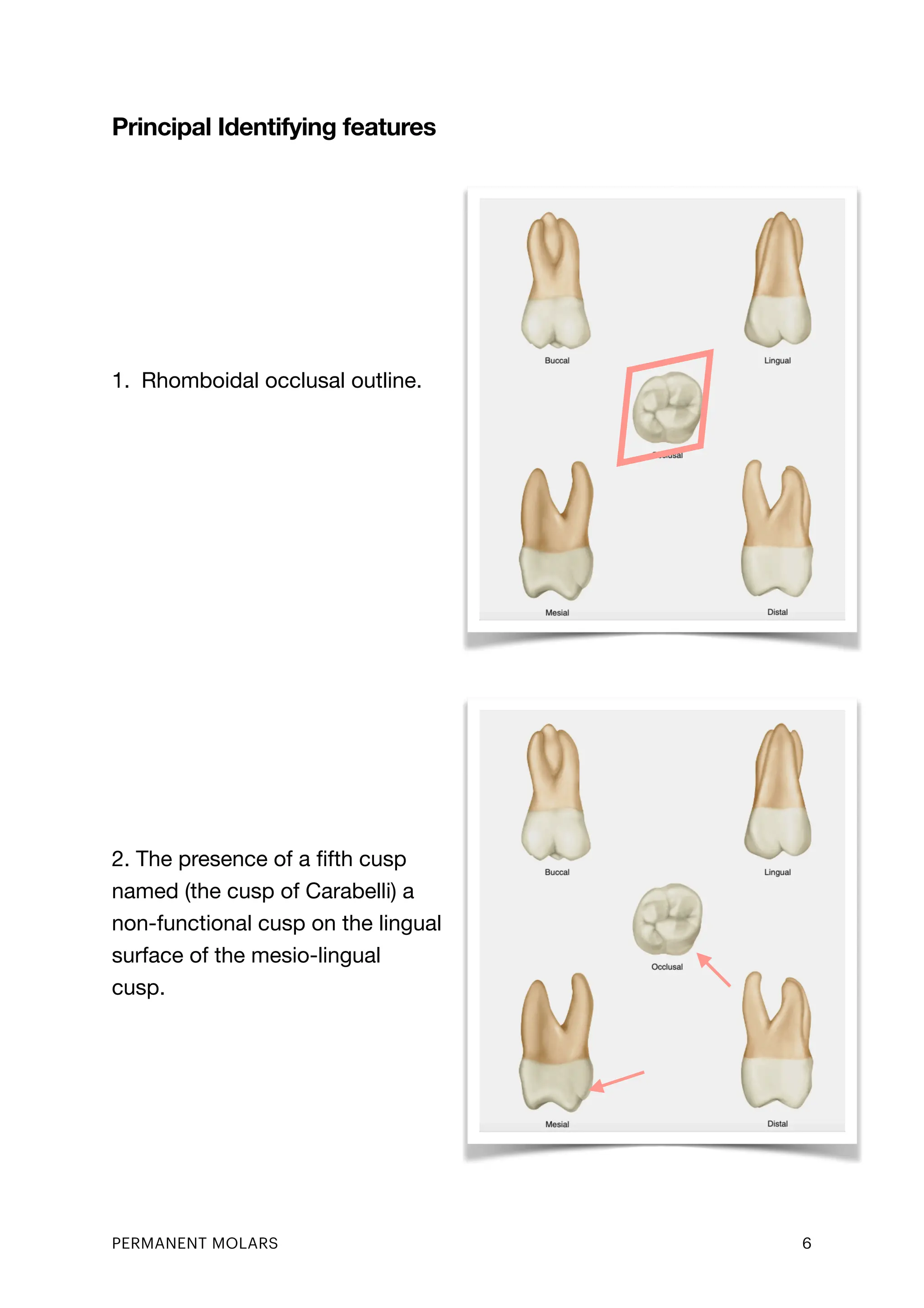 Handout, Lecture 11.pdf