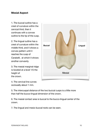 Handout, Lecture 11.pdf