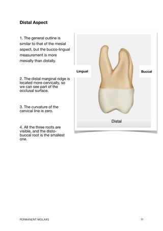 Handout, Lecture 11.pdf