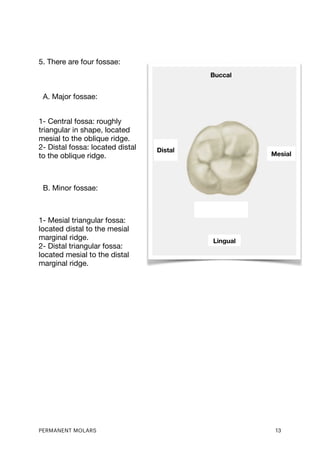 Handout, Lecture 11.pdf