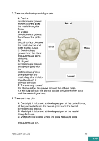 Handout, Lecture 11.pdf