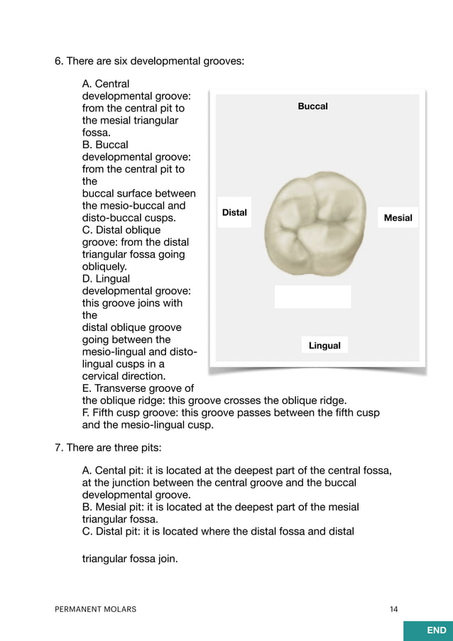 Handout, Lecture 11.pdf